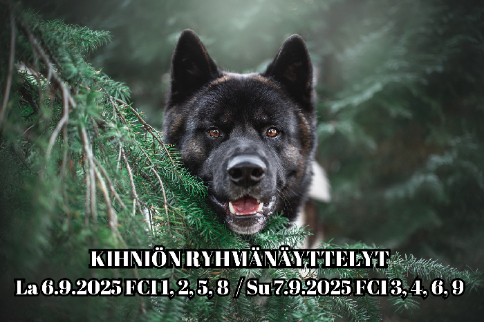 TUOMARIT :: Kihniön ryhmänäyttelyt